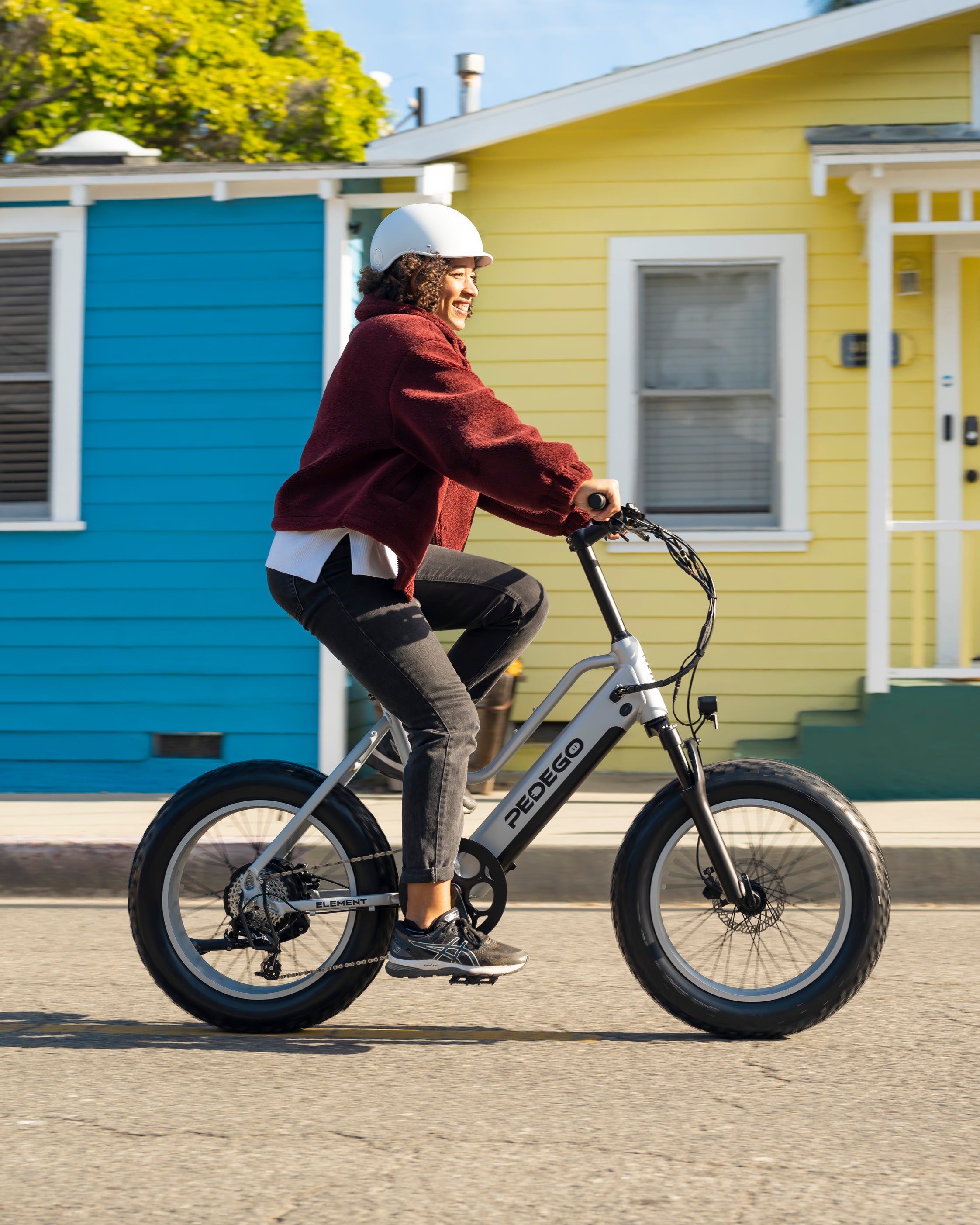 Element: Platinum Edition – Pedego