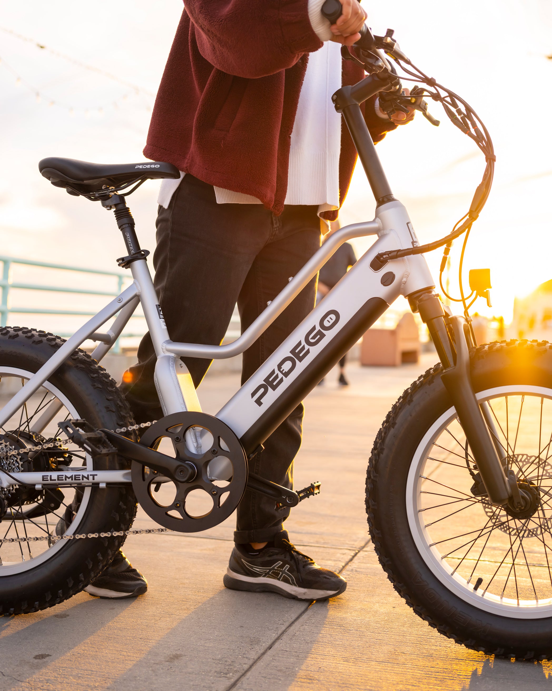 Element: Platinum Edition – Pedego